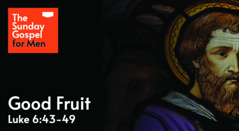 Good Fruit - Exodus 90